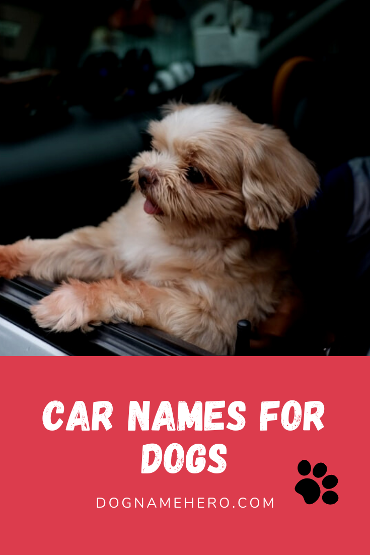 255 Car Names For Dogs Mechanical Car Related Dog Names 255 Car Names For Dogs Mechanical Car Related Dog Names
