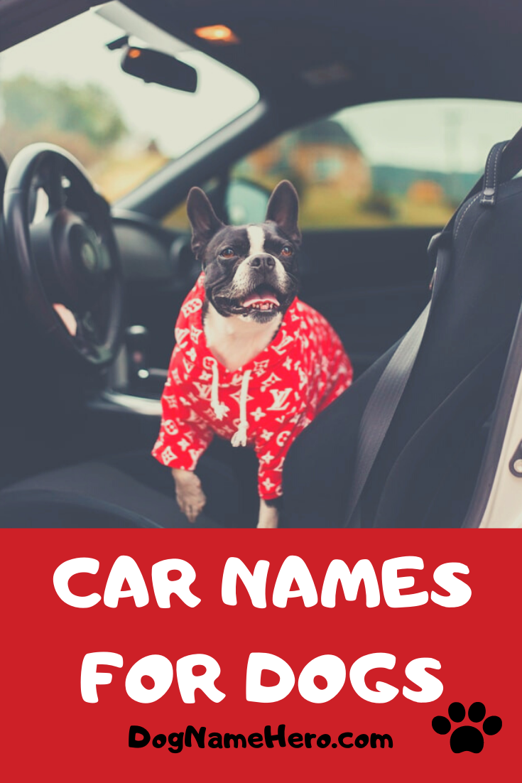 255 Car Names For Dogs Mechanical Car Related Dog Names 255 Car Names For Dogs Mechanical Car Related Dog Names